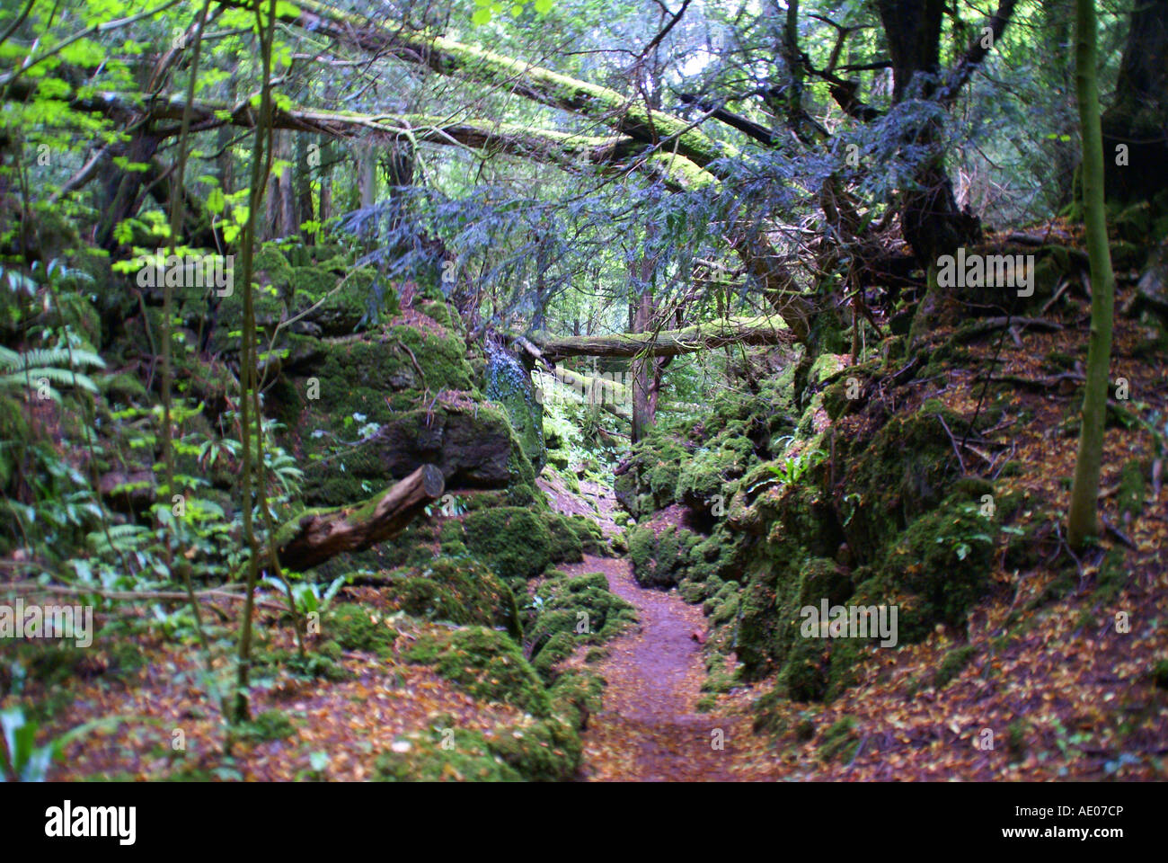 Forest of dean mining hi-res stock photography and images - Alamy