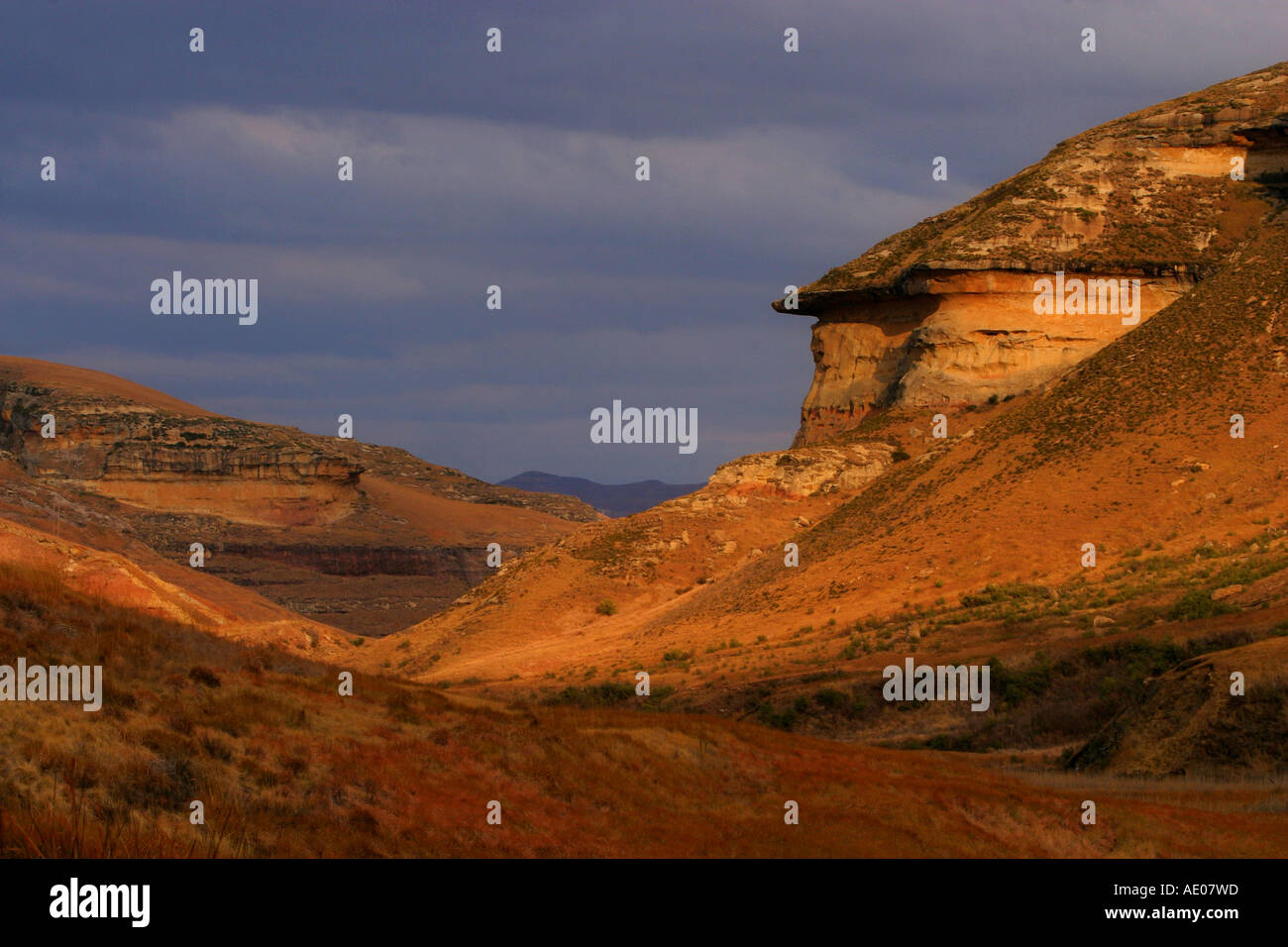 Golden gate np hi-res stock photography and images - Alamy