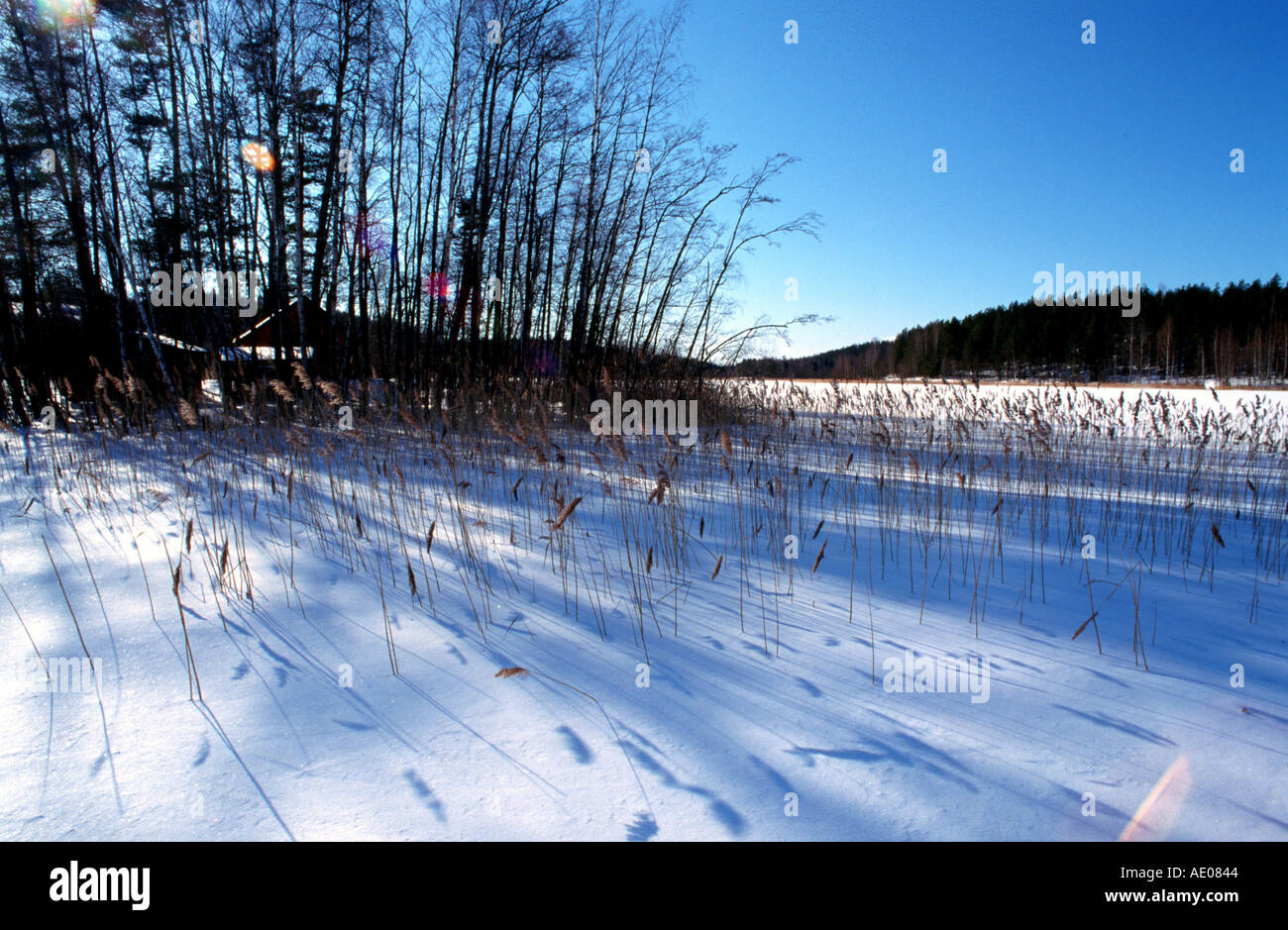 frozen lake with snow Stock Photo - Alamy