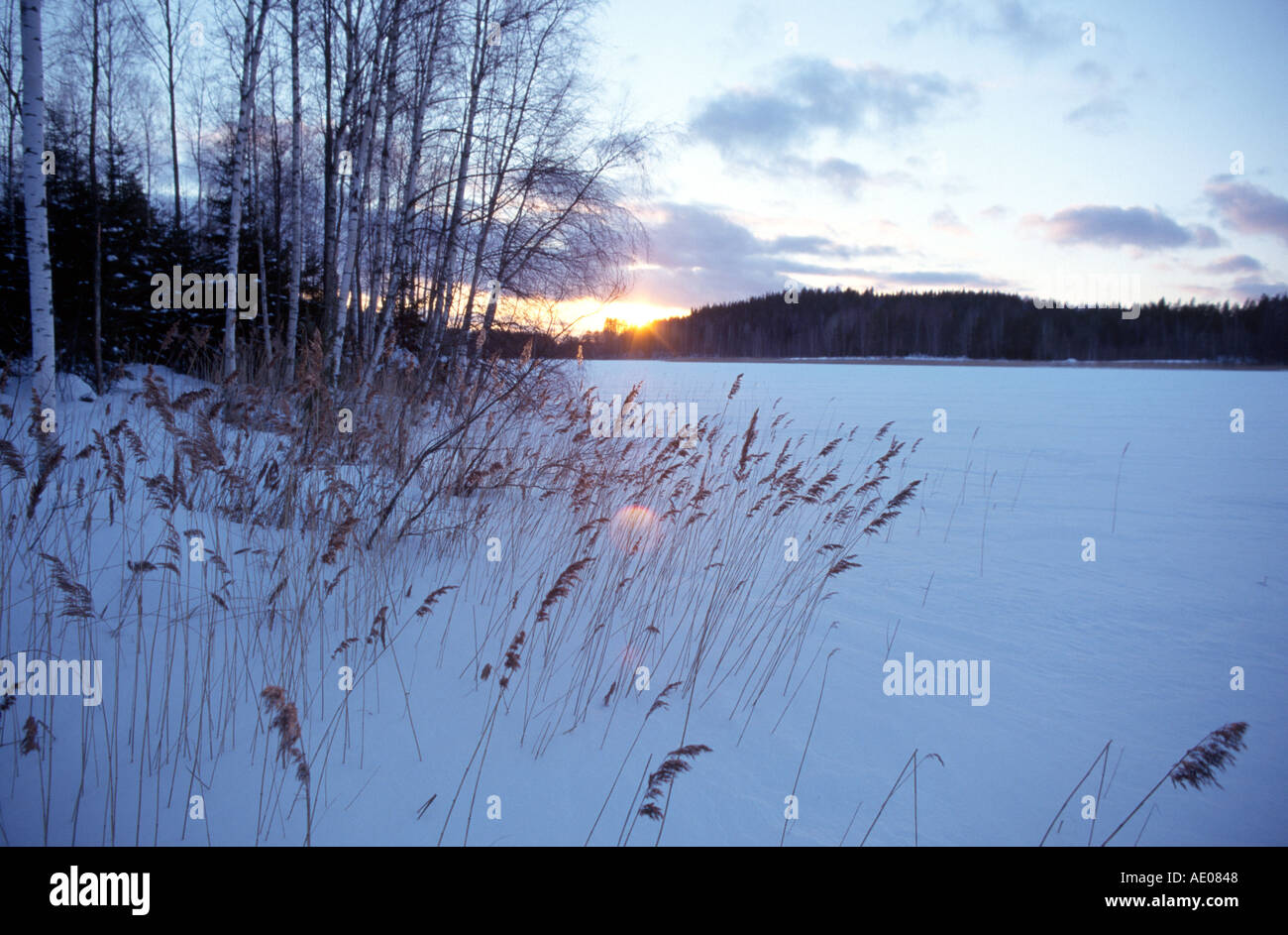 frozen lake with snow Stock Photo - Alamy