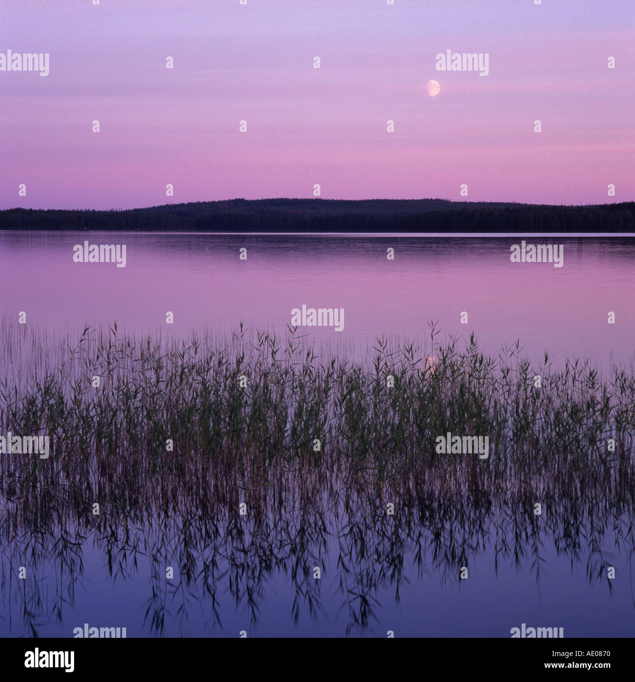 moon over a lake Stock Photo - Alamy