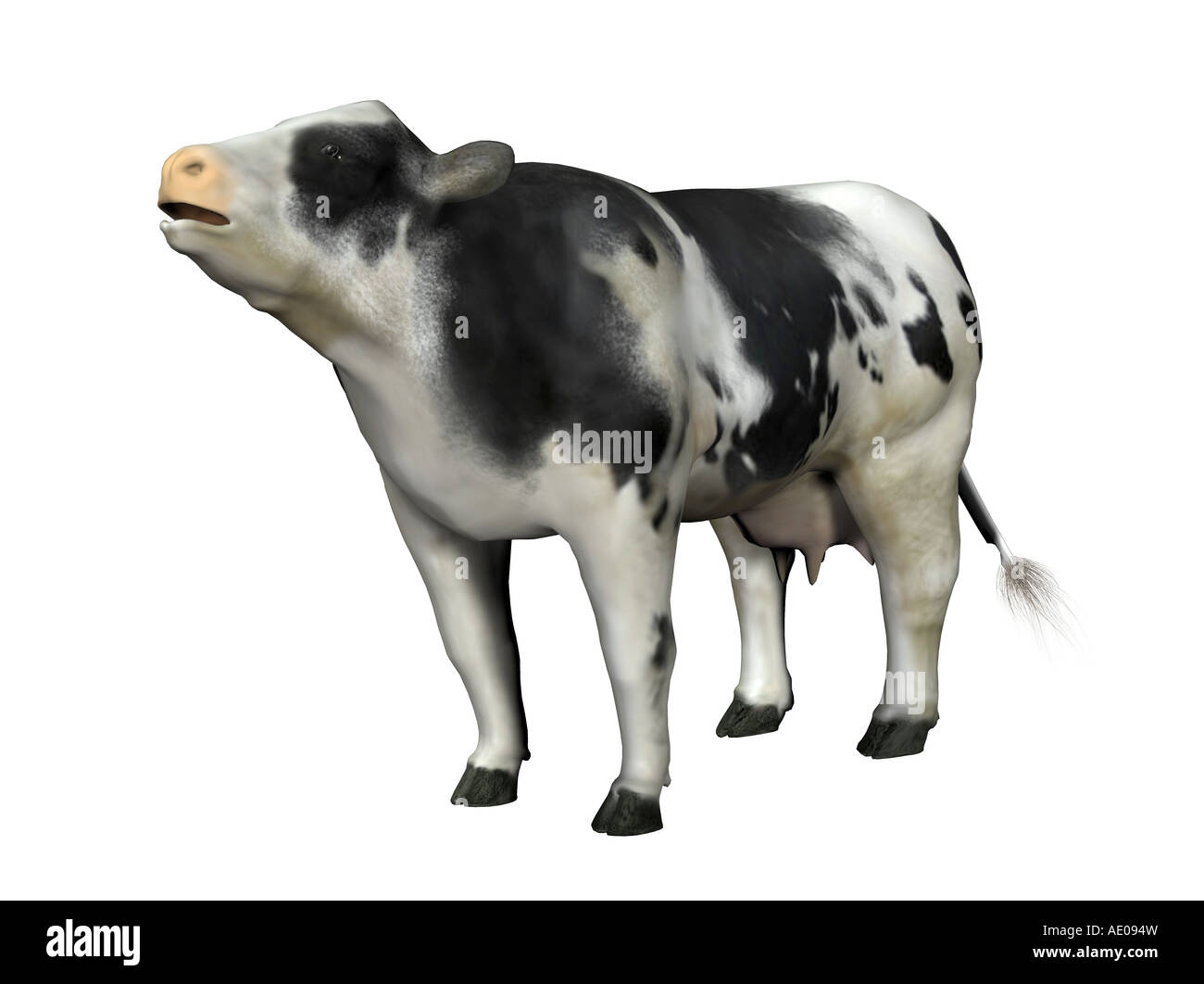 Kuh cow Cut Out Stock Images & Pictures - Alamy