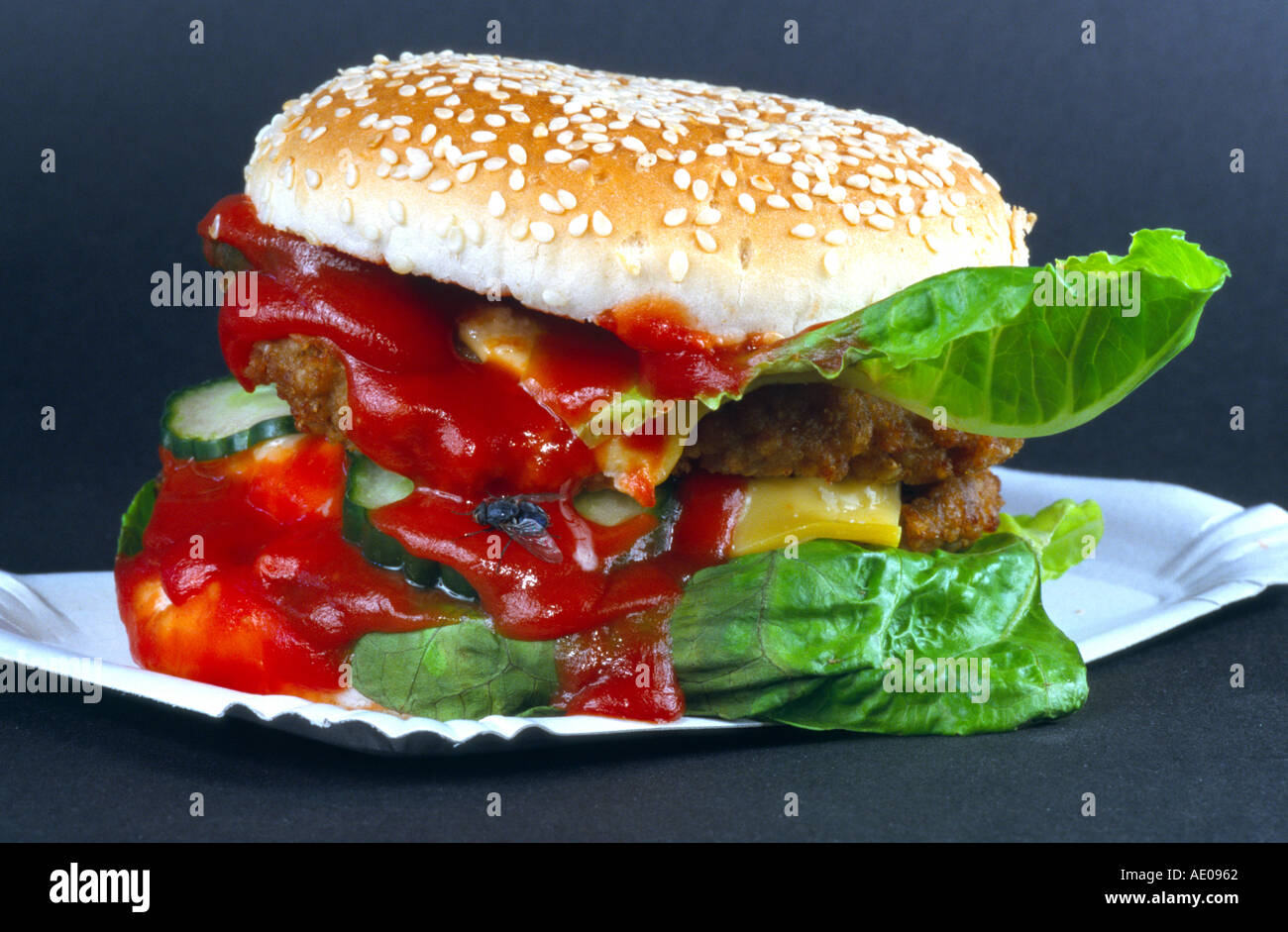 hamburger with a fly Stock Photo - Alamy
