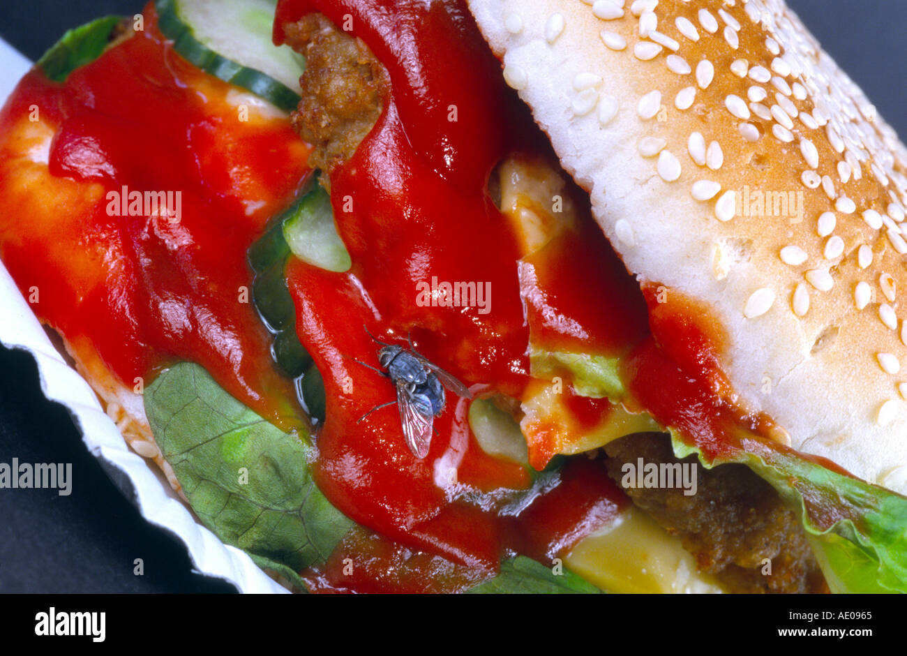 hamburger with a fly Stock Photo - Alamy