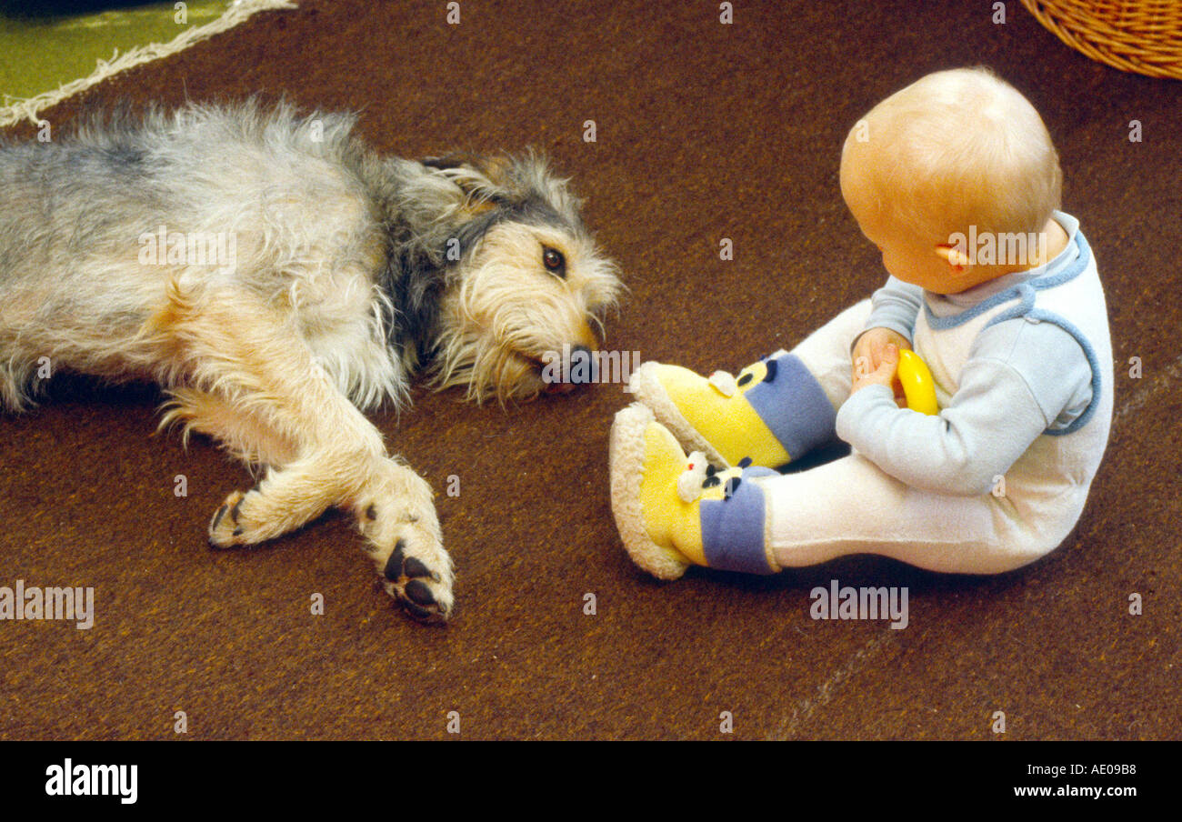 dog and baby half breed Stock Photo - Alamy