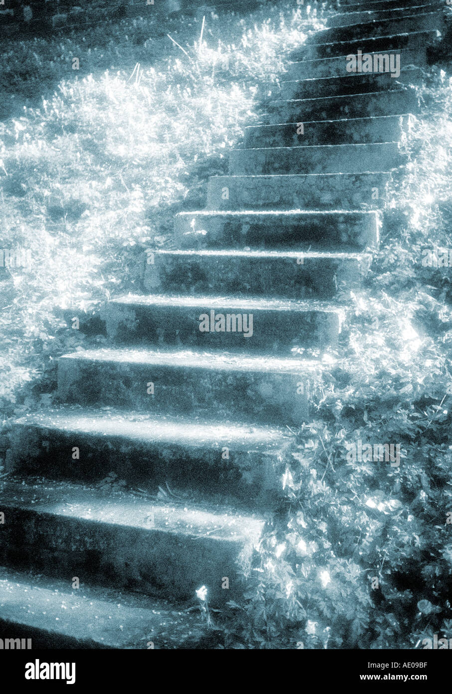 stairs into nowhere Stock Photo - Alamy