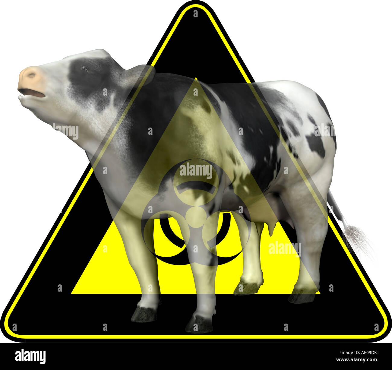 Rinderpest hi-res stock photography and images - Alamy