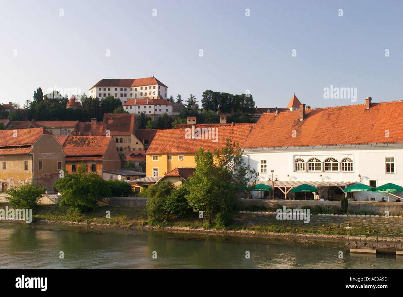 Ptuj mit Burg Ptujski grad und Fluss Drava Drau Dravsko polje Draufeld ...