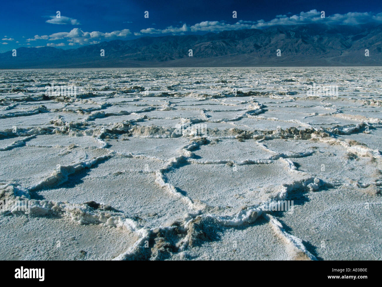 Salt crust on salt lake Bad Water Death Valley California USA ...