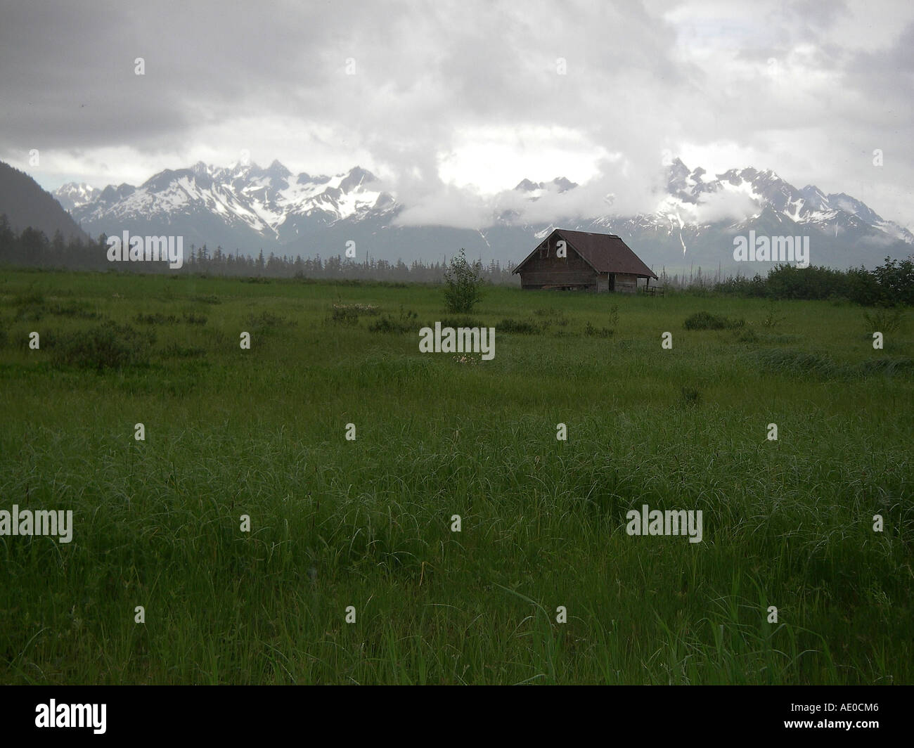 What is left of an old abandoned cannery on the Eyak River, AK. USA ...