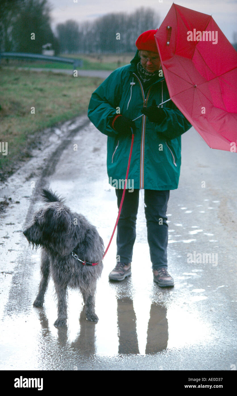 Raining Cats And Dogs High Resolution Stock Photography and Images - Alamy
