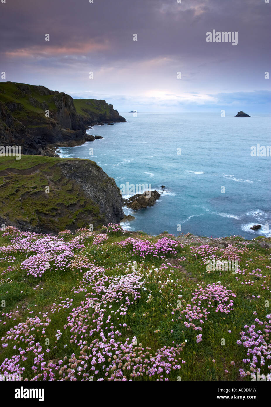 View from Rumps point towards Pentire Point, North Cornwall Stock Photo ...
