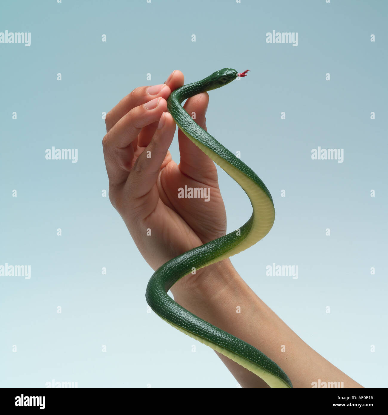Funny girl snake hi-res stock photography and images - Alamy
