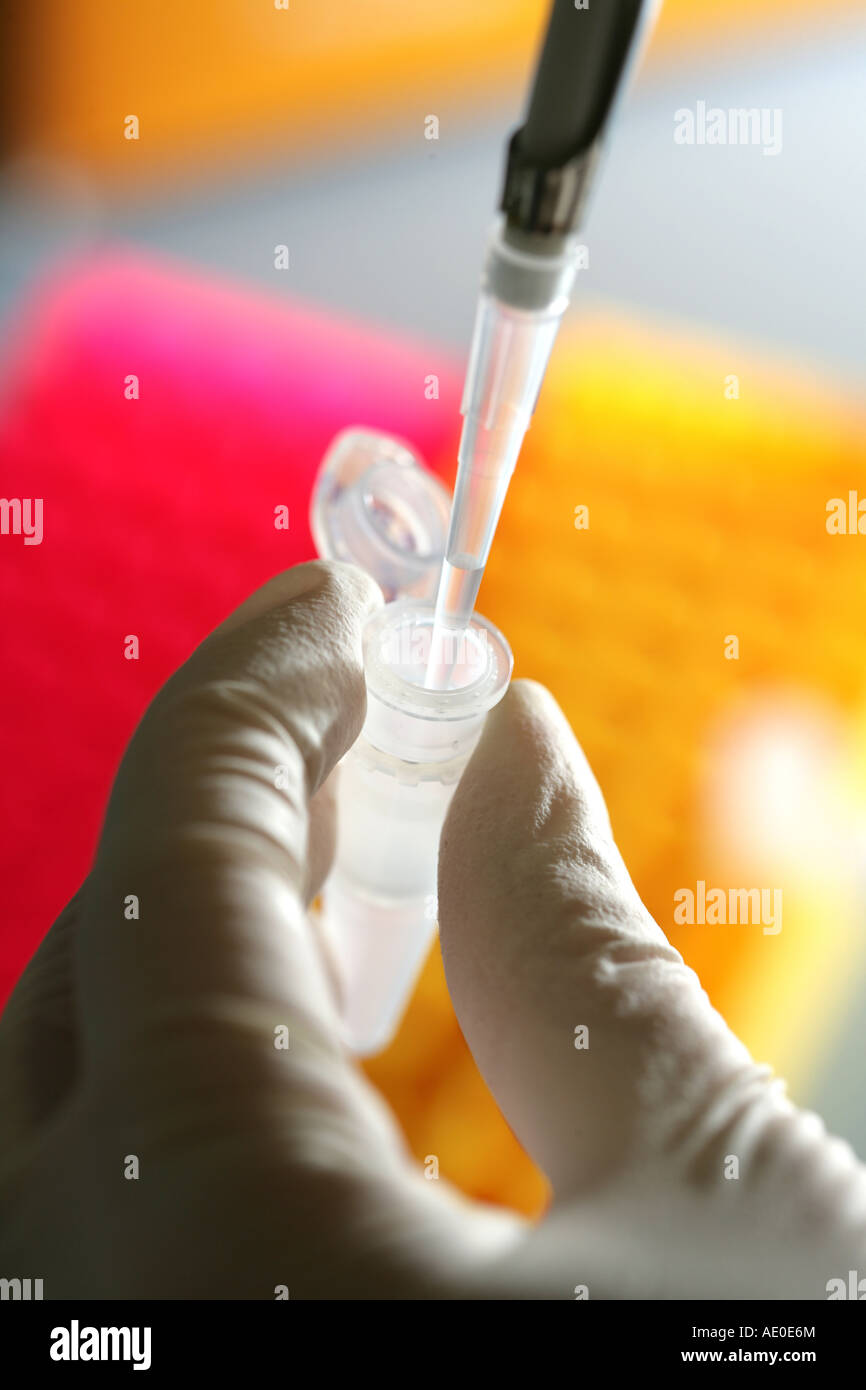 DEU, Germany: Symbolic photo bio technology, bio laboratory Stock Photo ...