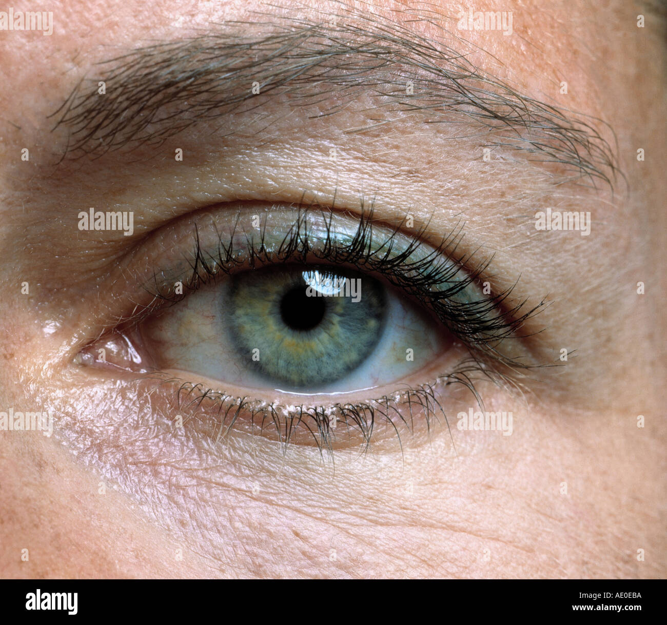 eye of a woman Stock Photo - Alamy