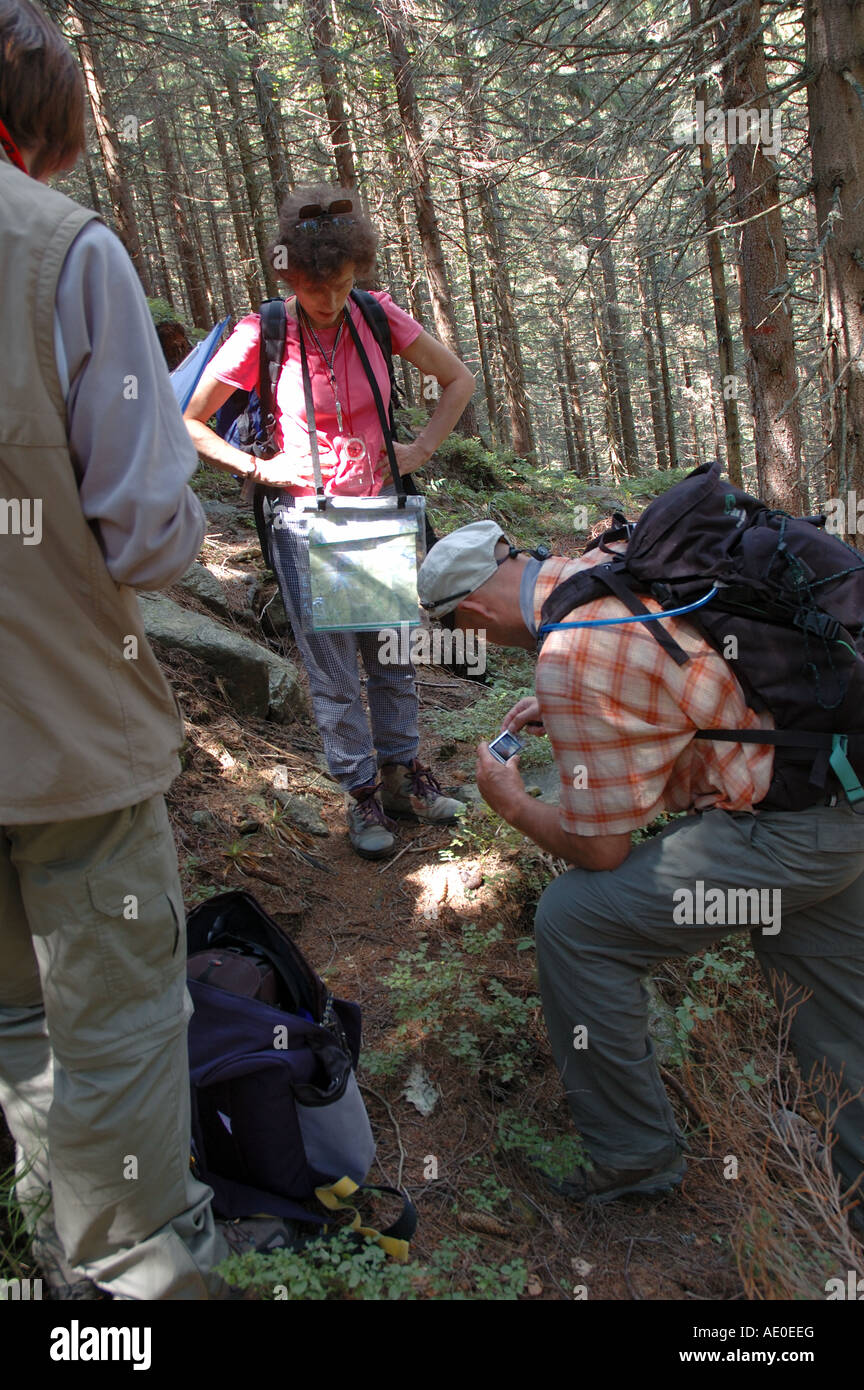 Wolf scat hi-res stock photography and images - Alamy