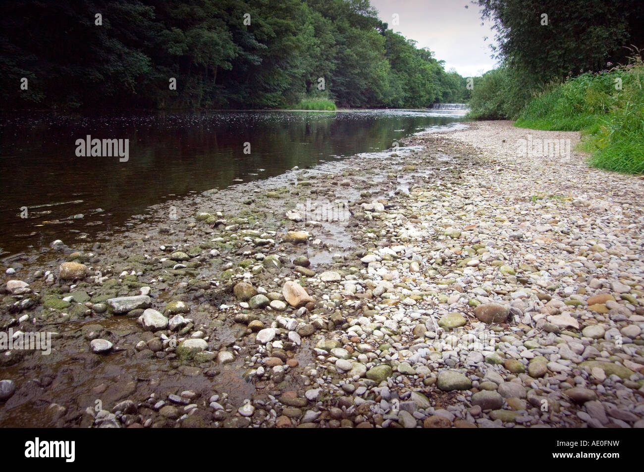 Boston Spa bridge on the River Wharfe River West Yorkshire Stock Photo ...