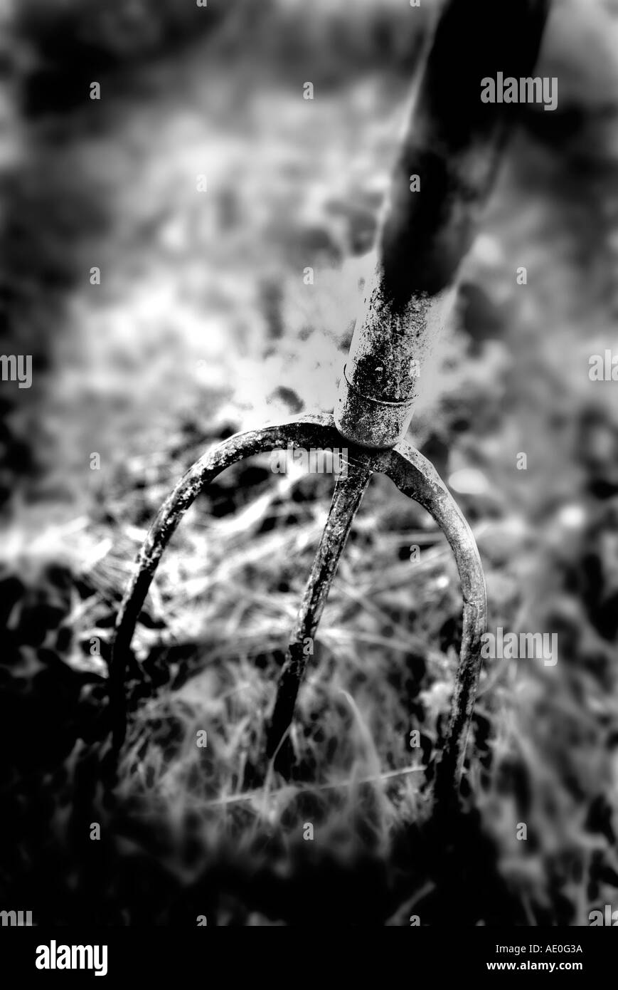 Three prong fork hi-res stock photography and images - Alamy