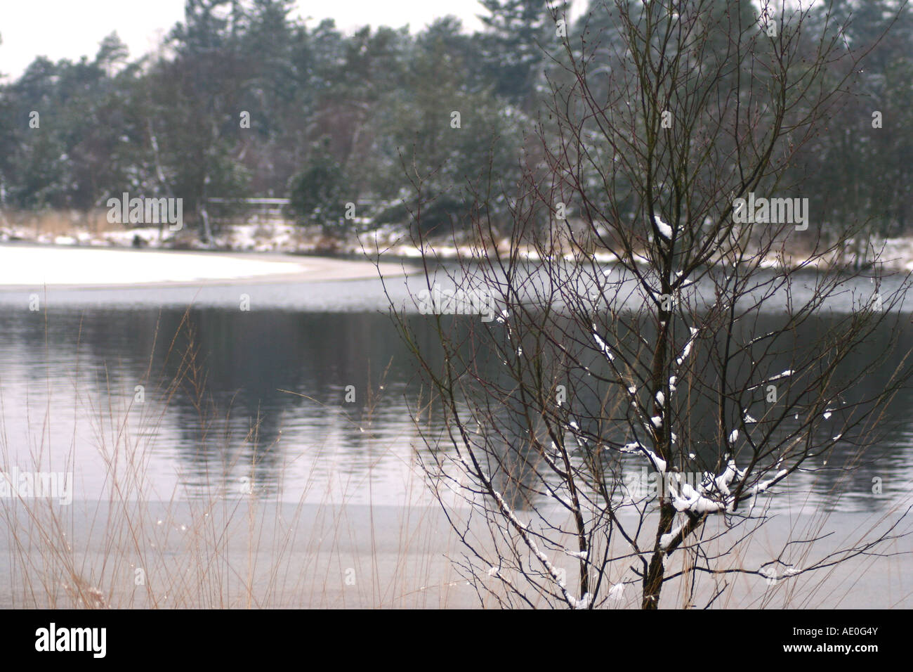 frozen lake in Winter Stock Photo - Alamy