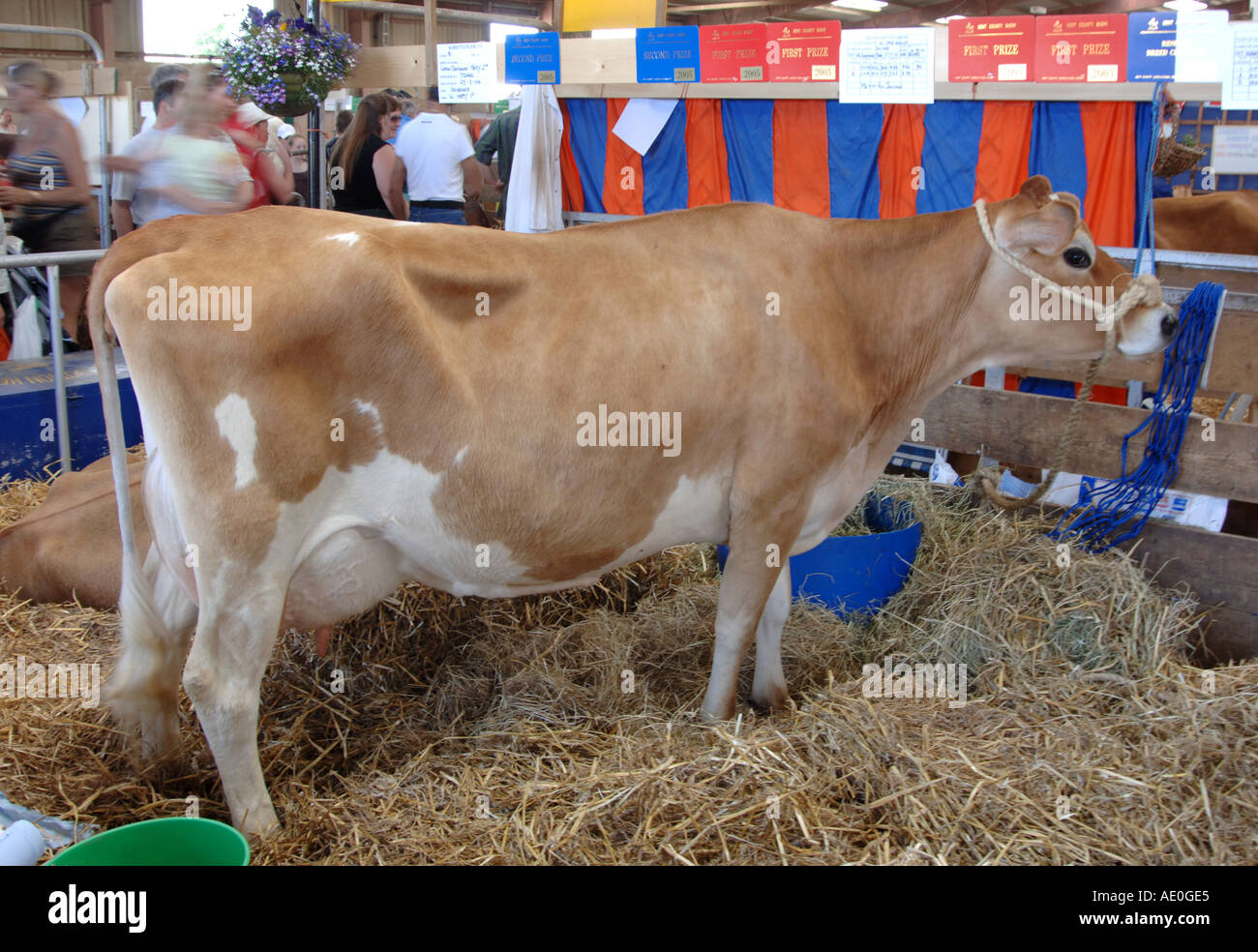 Kent agricultural show hi-res stock photography and images - Alamy