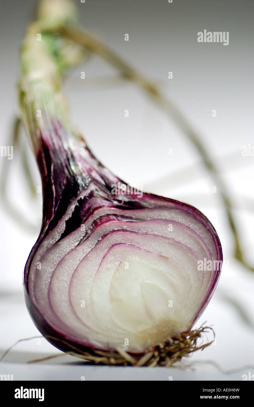 "Red onion" split in half on "neutral background Stock Photo - Alamy
