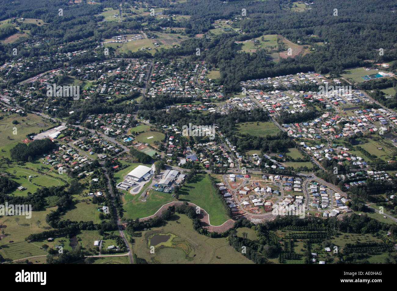 Palmwoods hi-res stock photography and images - Alamy
