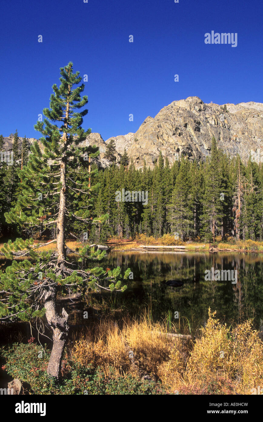 Billy Lake in the Ansel Adams Wilderness, Inyo National Forest, Sierra ...