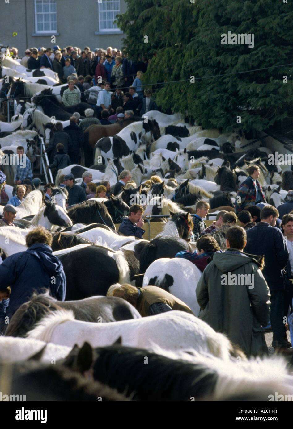 Ballinasloe Horse Fair Ballinasloe County Galway Eire Stock Photo - Alamy