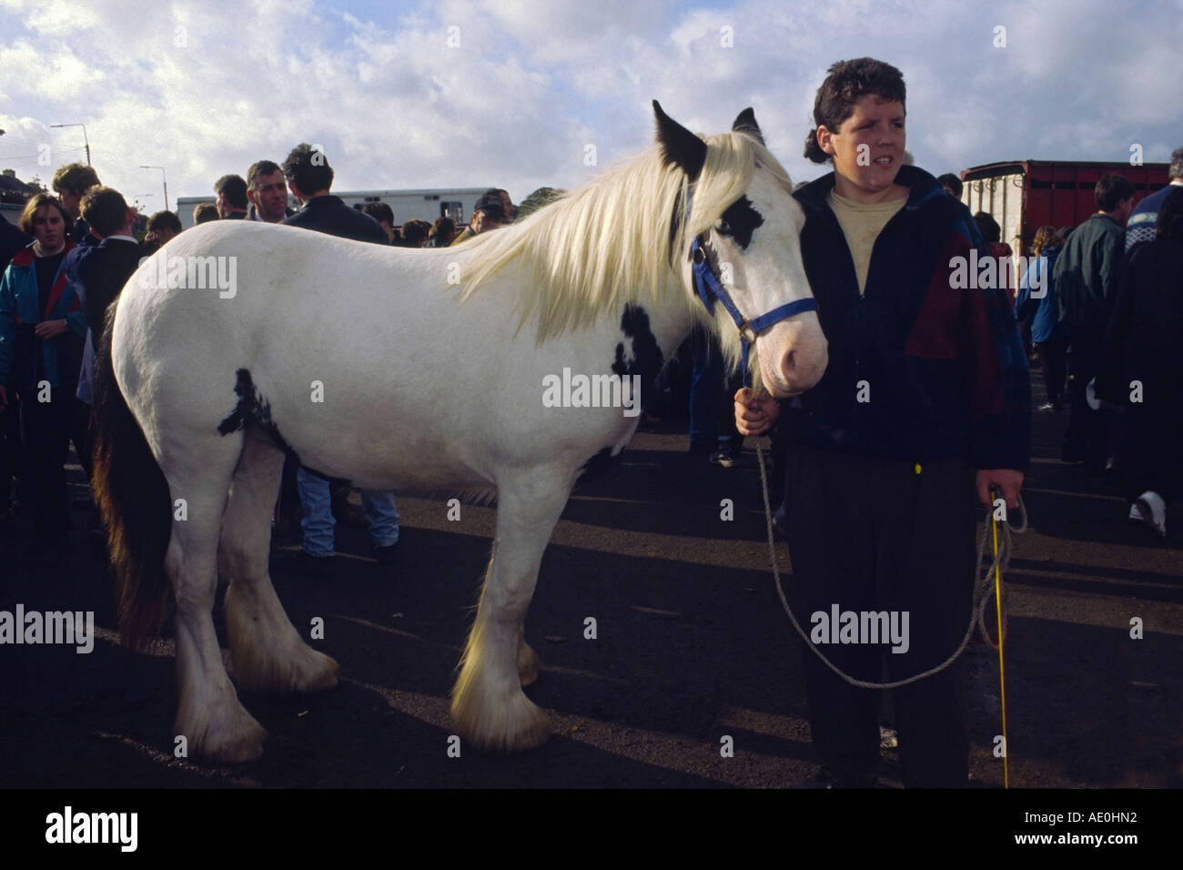 Ballinasloe Horse Fair Ballinasloe County Galway Eire Stock Photo - Alamy