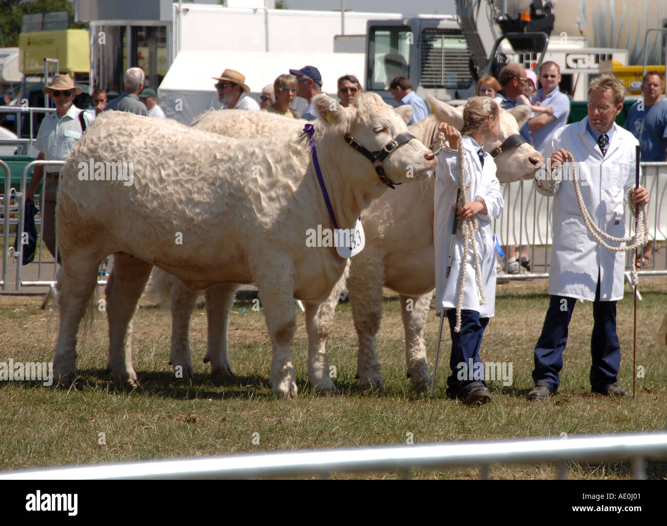 Kent agricultural show hi-res stock photography and images - Alamy