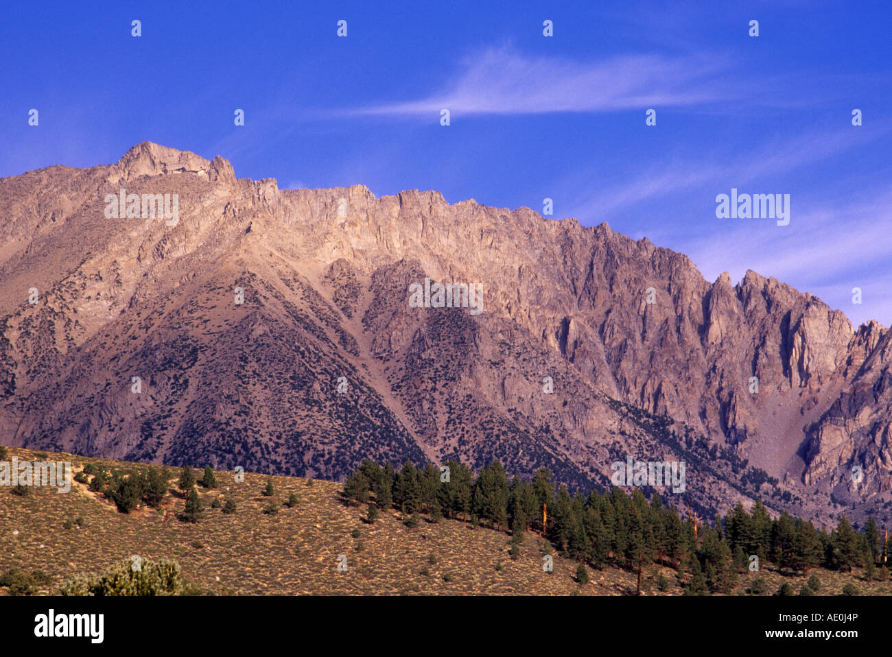 Peaks above Bishop Creek Valley in the Inyo National Forest, Sierra ...