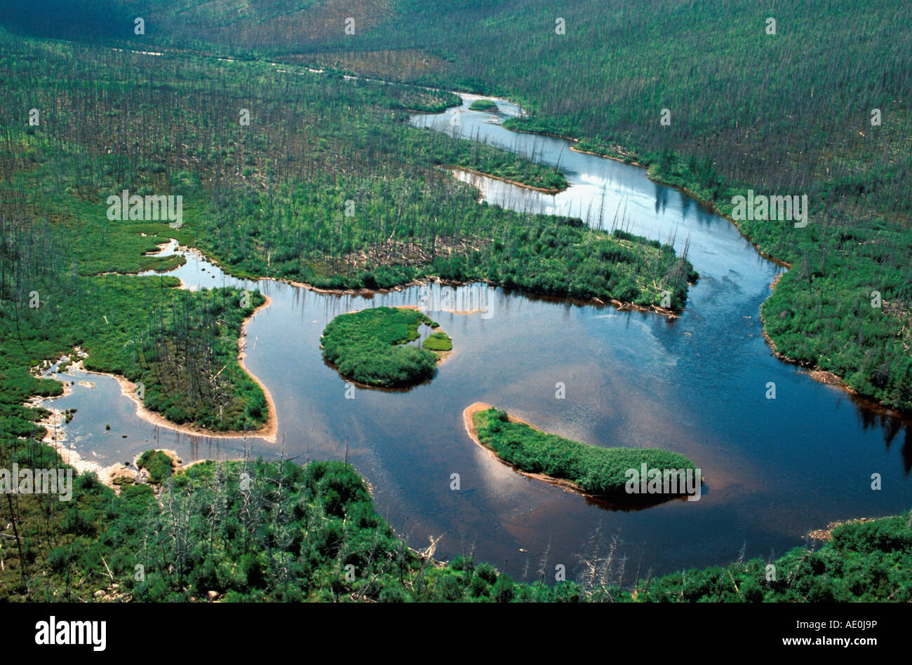aerial view ,aerien,aerial,vue aerienne,aerial of lake on the moisie ...