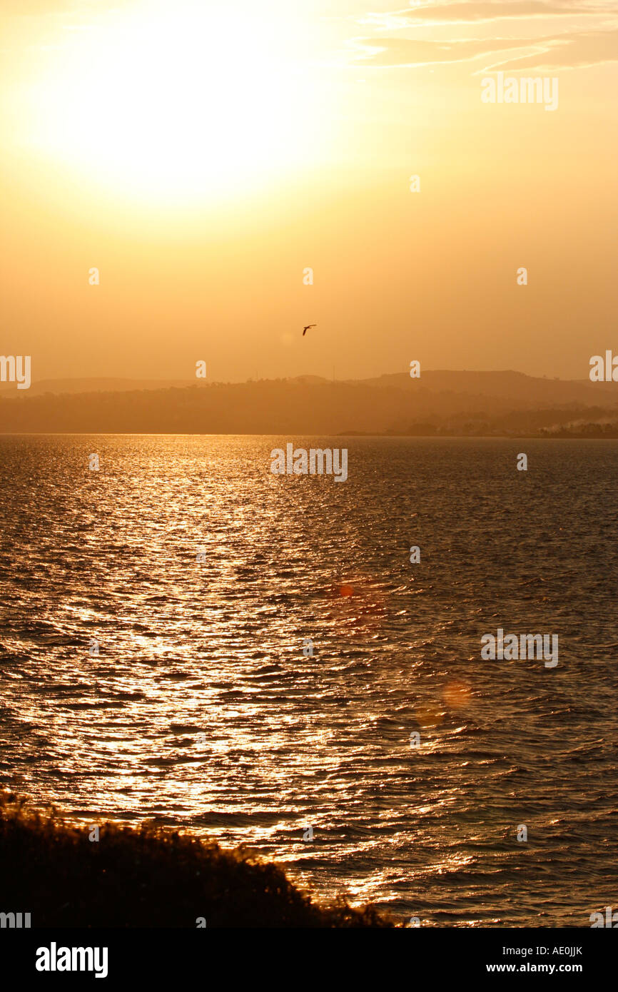 Sunset over Lake Victoria near the Source of the Nile at Jinja, Uganda ...