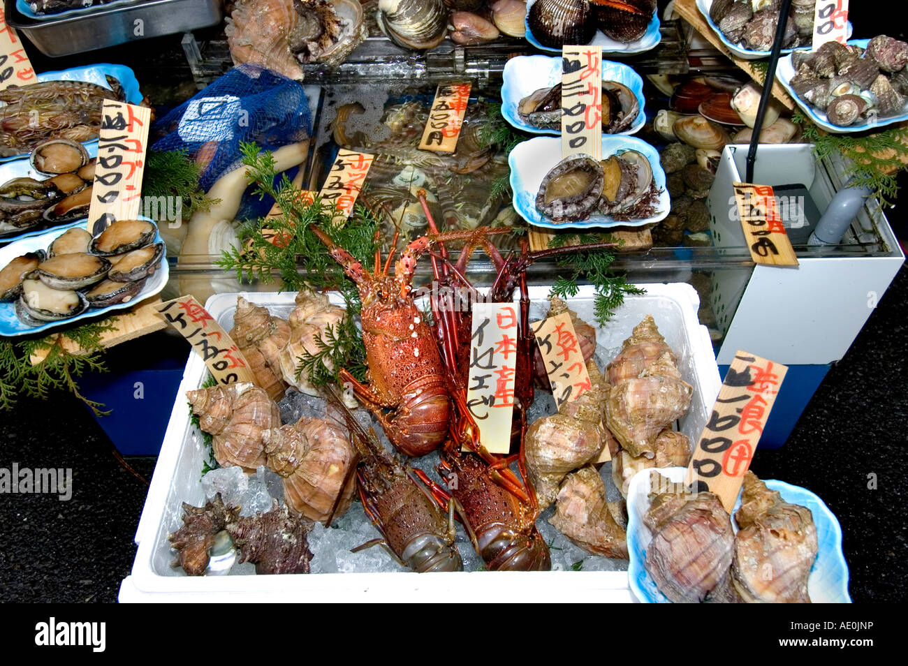 Tokyo Japan Tsukiji fish market is the biggest wholesale fish and ...
