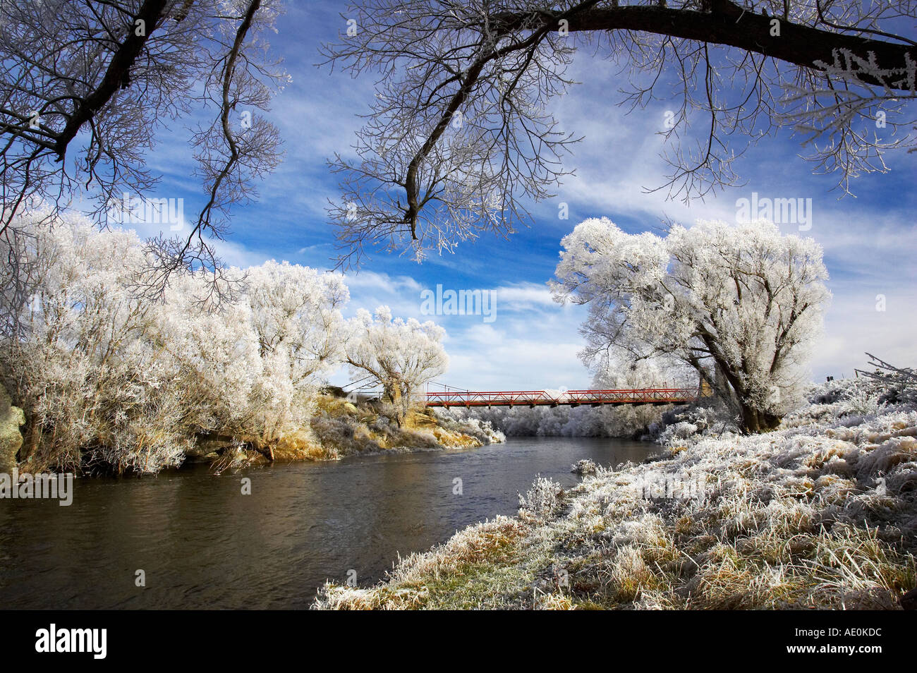 Historic Suspension Bridge Taieri River Sutton Otago South Island New ...