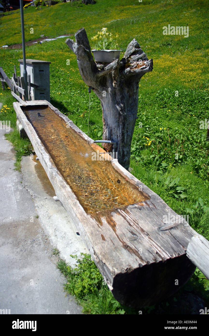 Water trough serene hi-res stock photography and images - Alamy