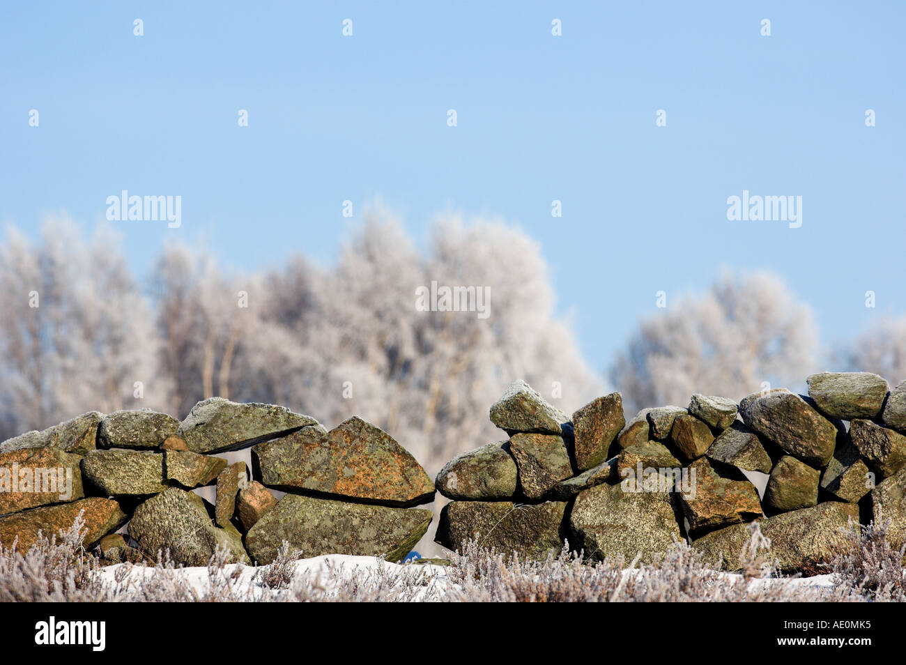 Stone wall. Sandsjöbacka, Halland, Sweden Stock Photo - Alamy