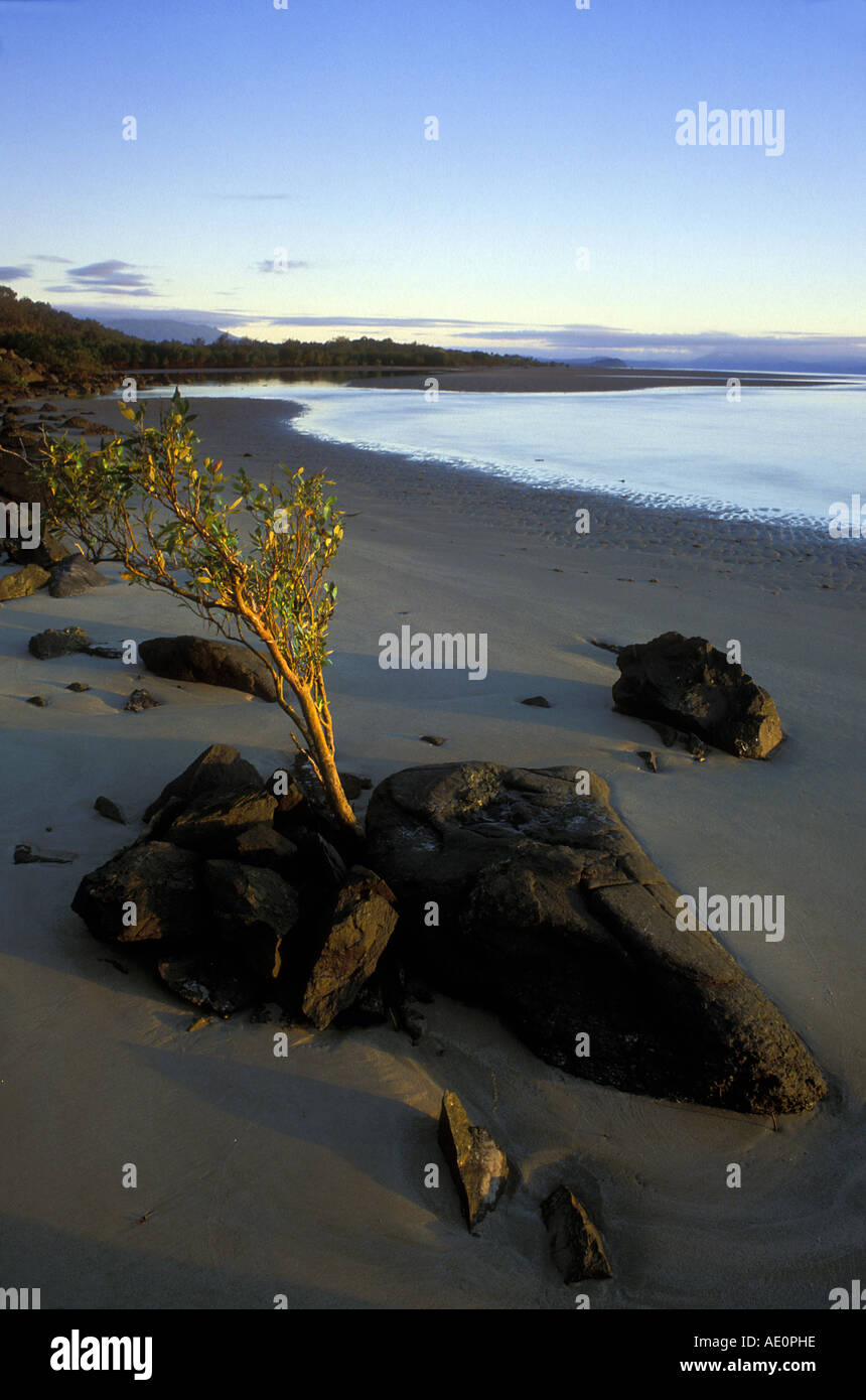 Beach near Port Douglas, Queensland, Australia Stock Photo - Alamy