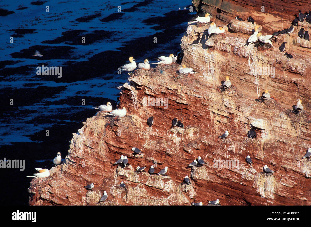 Anna bucht hi-res stock photography and images - Alamy