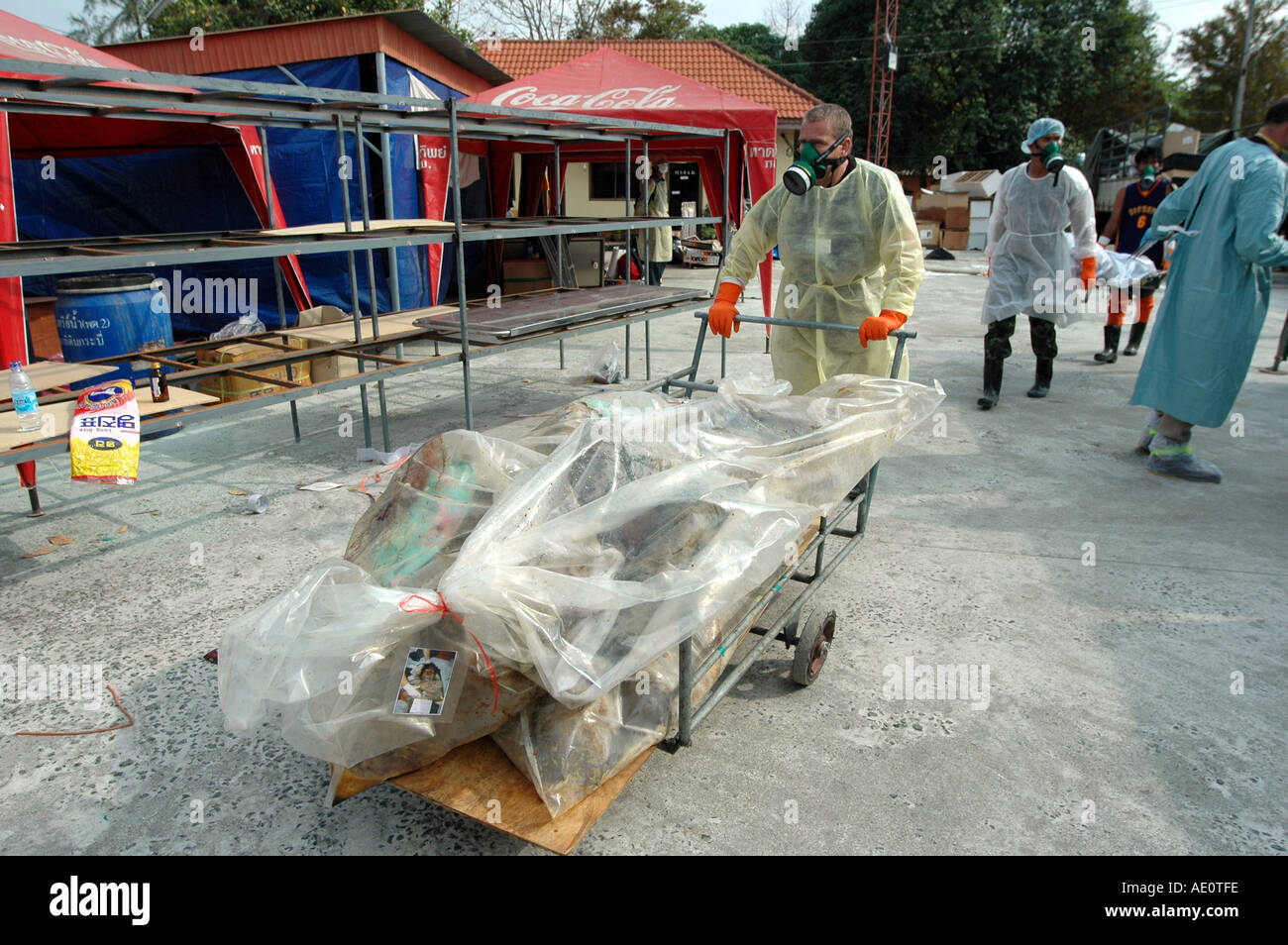Temporary mortuary Krabi Disaster Victim Identification teams at work ...