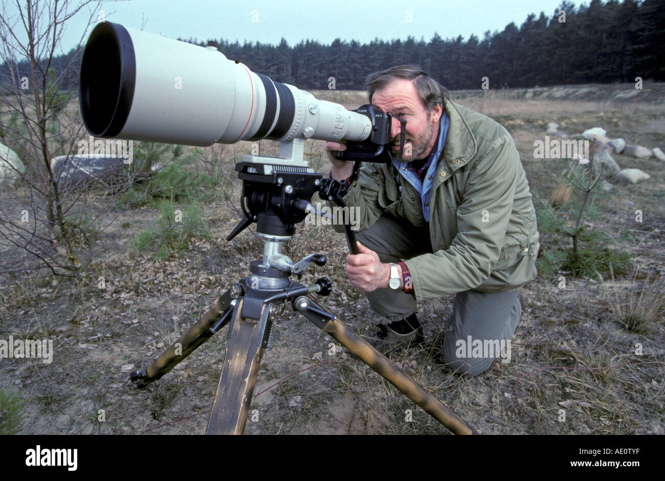 animal photographer at work Stock Photo - Alamy