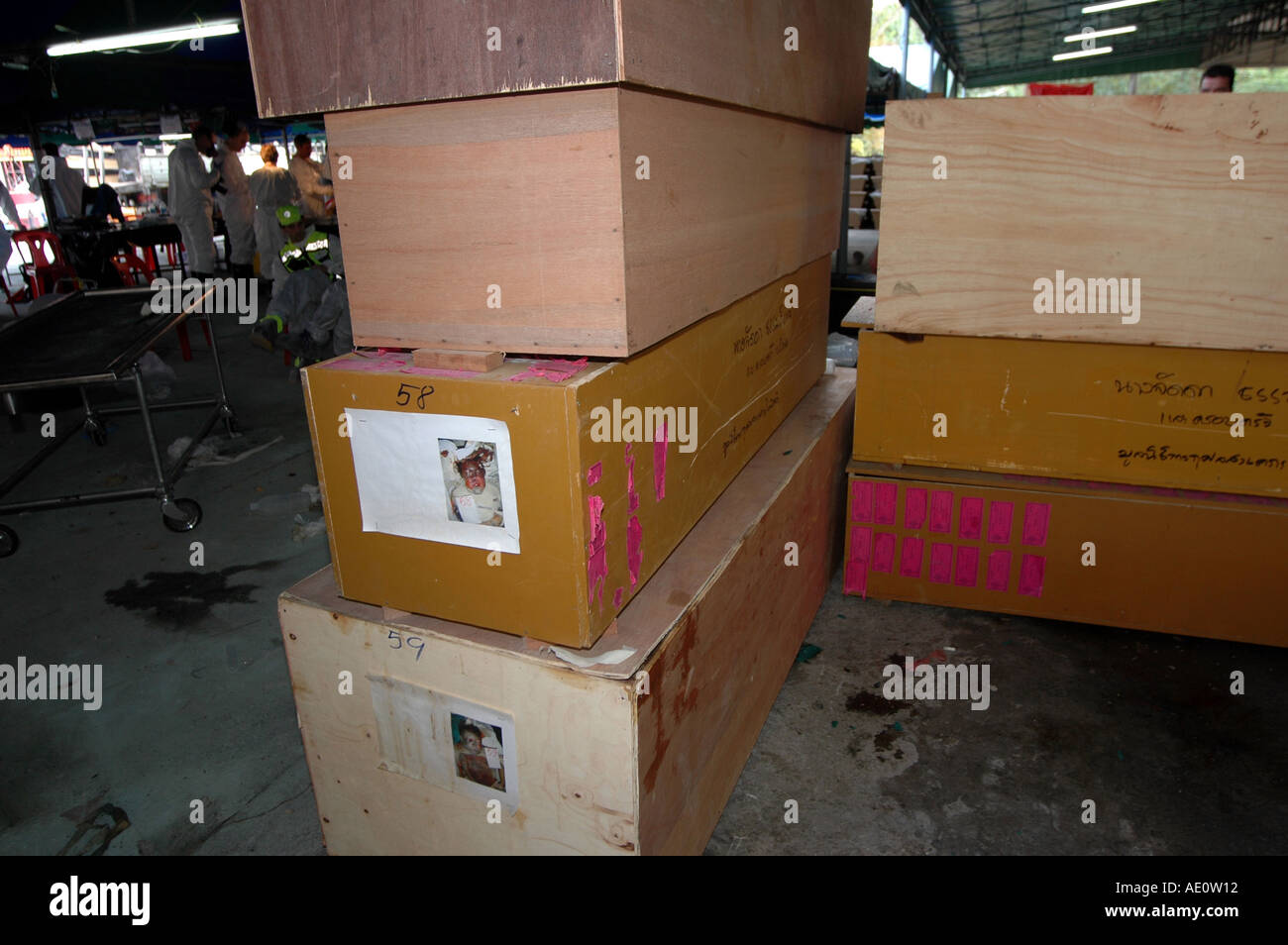 Temporary mortuary Krabi Disaster Victim Identification teams at work ...