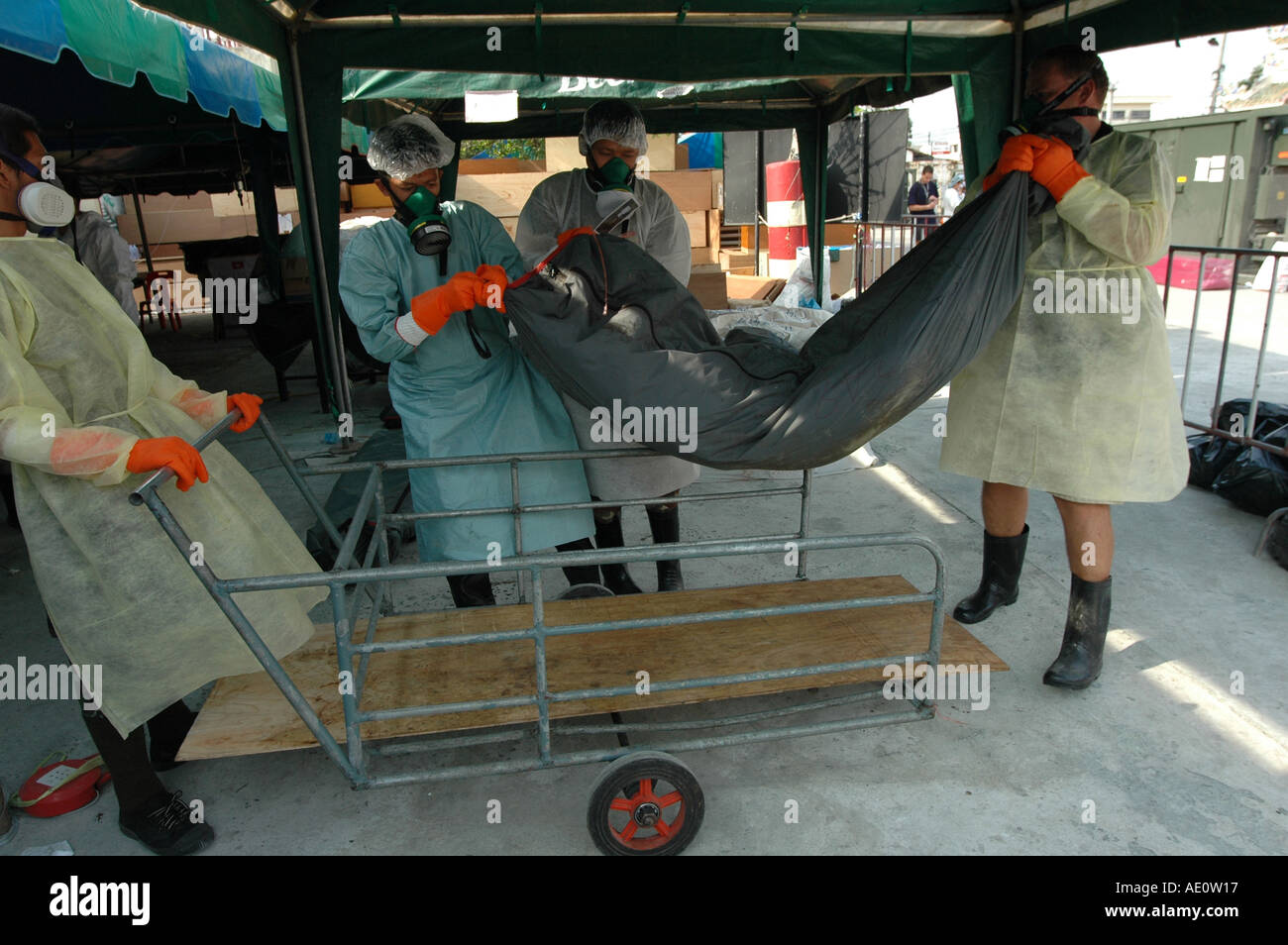 Temporary mortuary Krabi Disaster Victim Identification teams at work ...