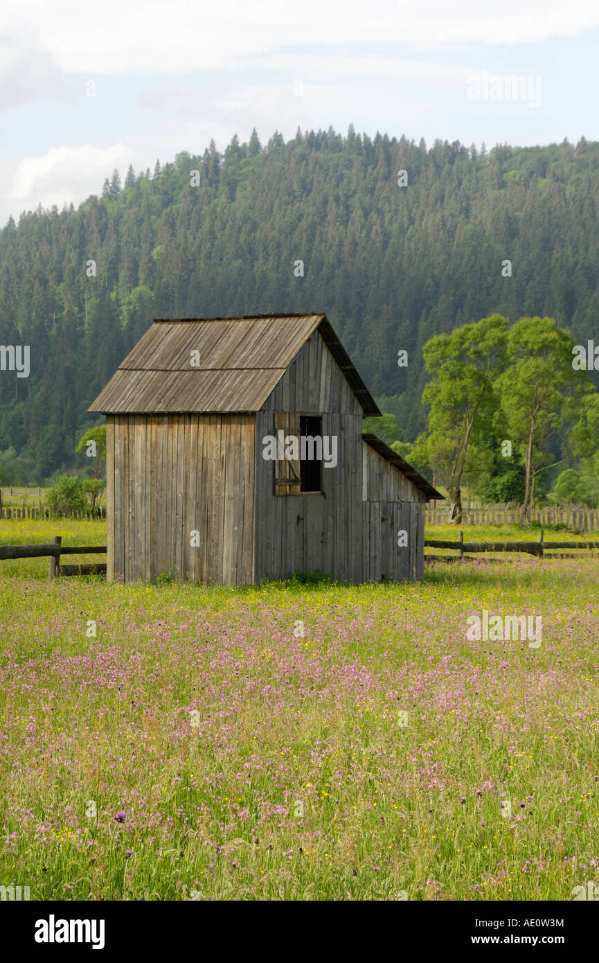 Traditional wildflower hay meadows hi-res stock photography and images ...