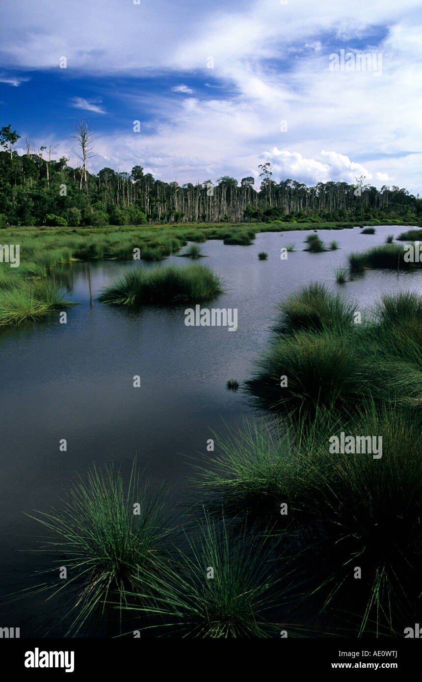 Lalak hi-res stock photography and images - Alamy