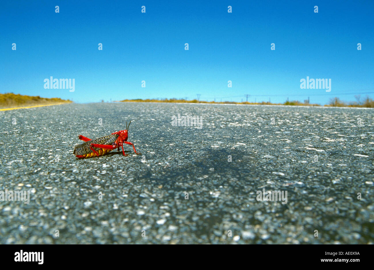Street south africa hi-res stock photography and images - Alamy
