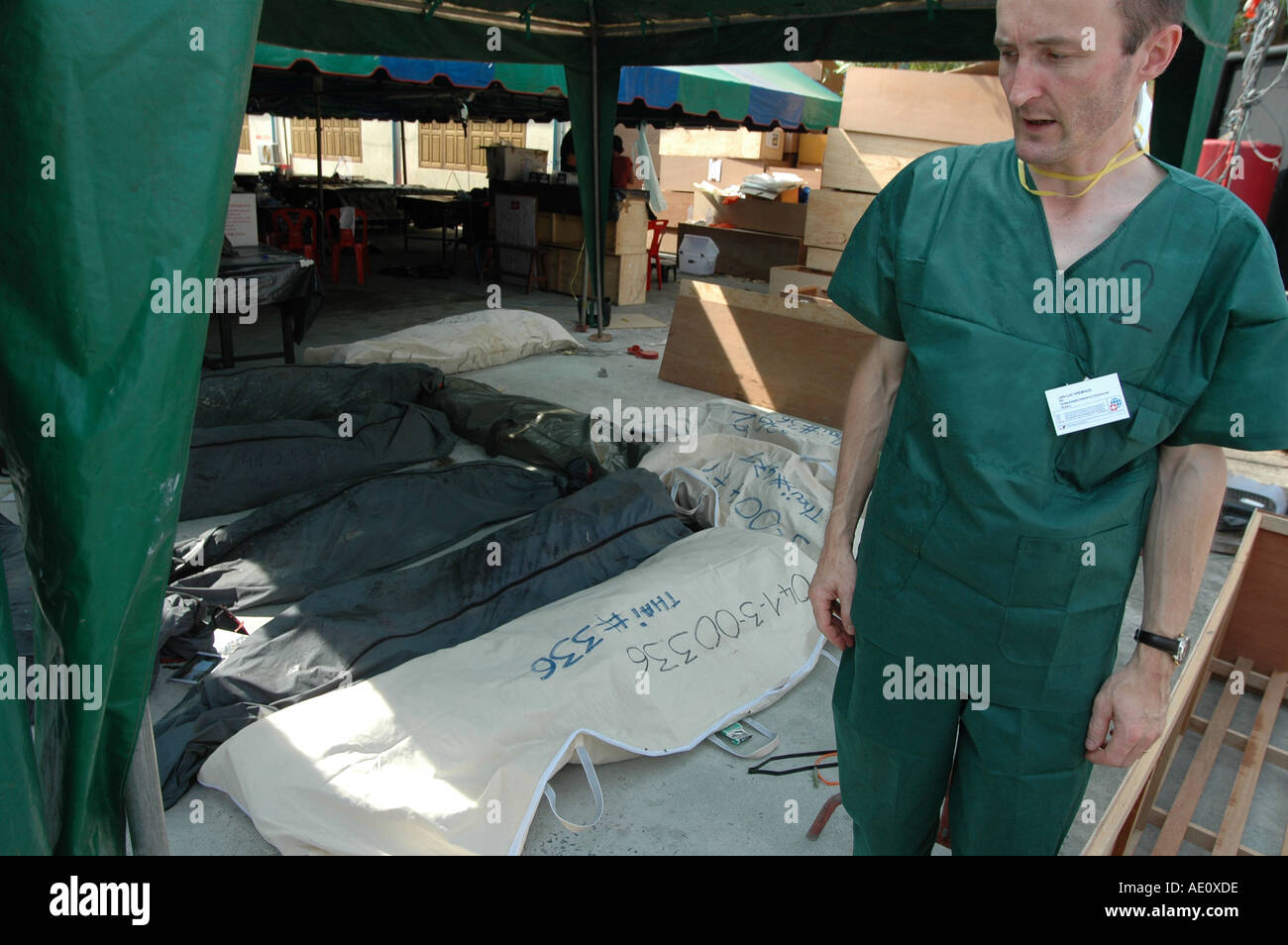 Temporary mortuary Krabi Disaster Victim Identification teams at work ...