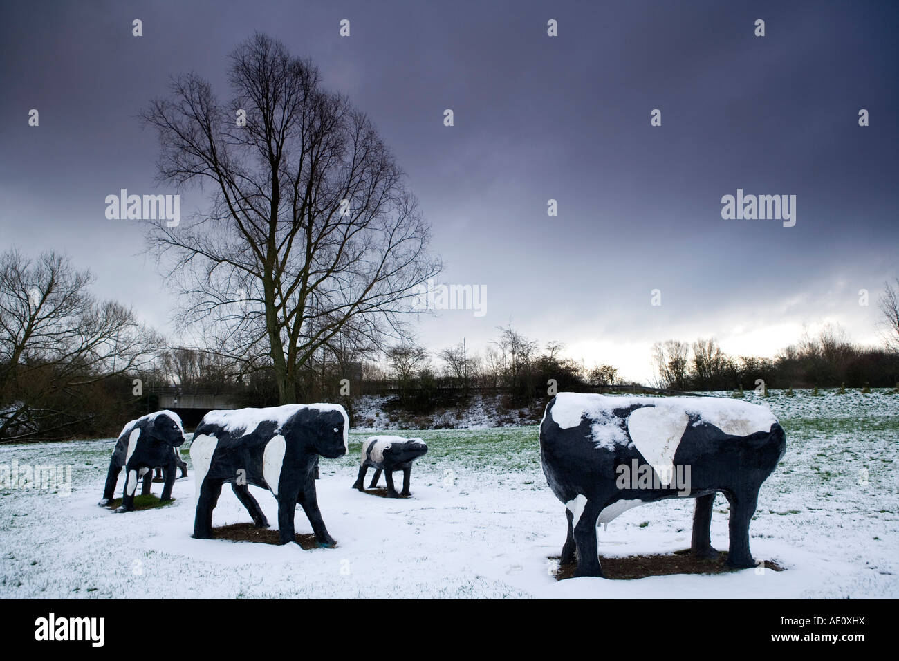 Concrete cows, Milton Keynes with light dusting of snow Stock Photo - Alamy