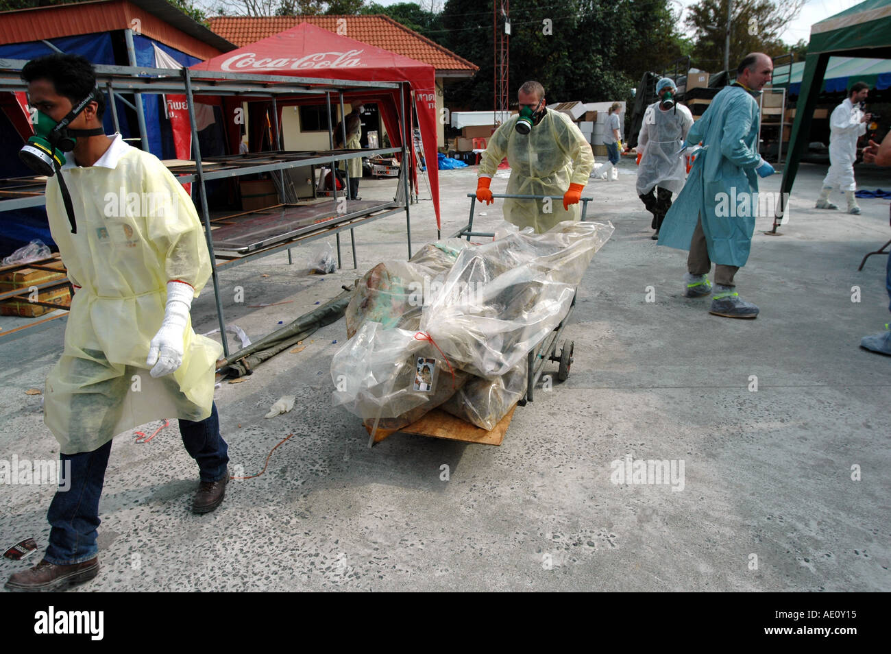 Temporary mortuary Krabi Disaster Victim Identification teams at work ...