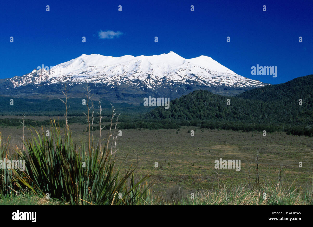 Mount Ruapehu, New Zealand, Tongariro NP Stock Photo - Alamy